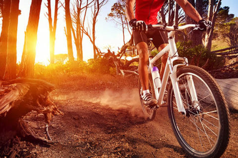 How to Shoot Action Photos: Tips and Techniques for Beginners