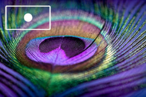 How to Get the Best Exposure Tips for Beginners - iPhotography