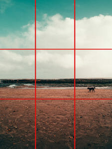 The Rules of Thirds - What is it and How to use it in Photography?