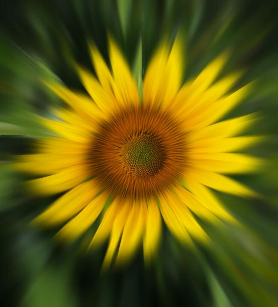 Zoom Burst Effect - Turn Your Photos up to Warp Speed in Camera!