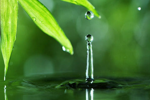 Water Drop Photography Tutorial: Complete Guide for Beginners
