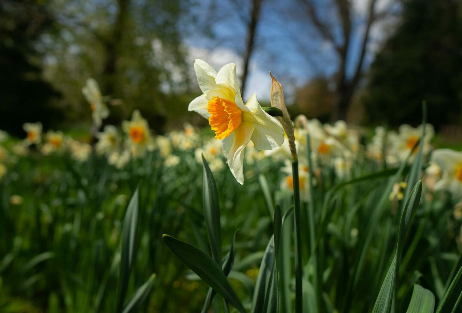 Nature Photography: A Beginner's Tutorial