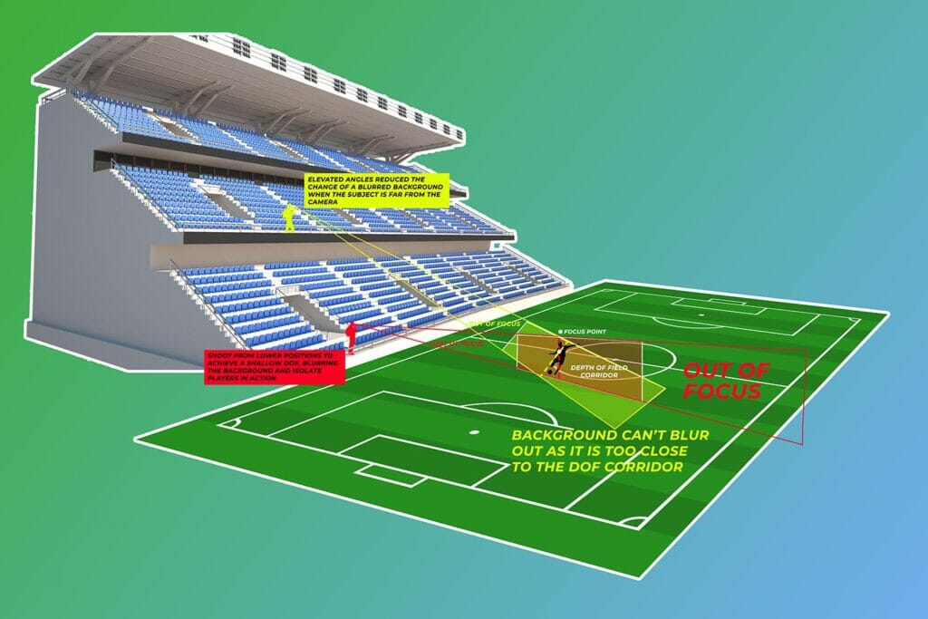 Depth of Field Explained for Beginner Photographers