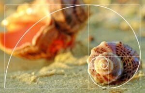 What is the Golden Ratio? How to Use it for Photography