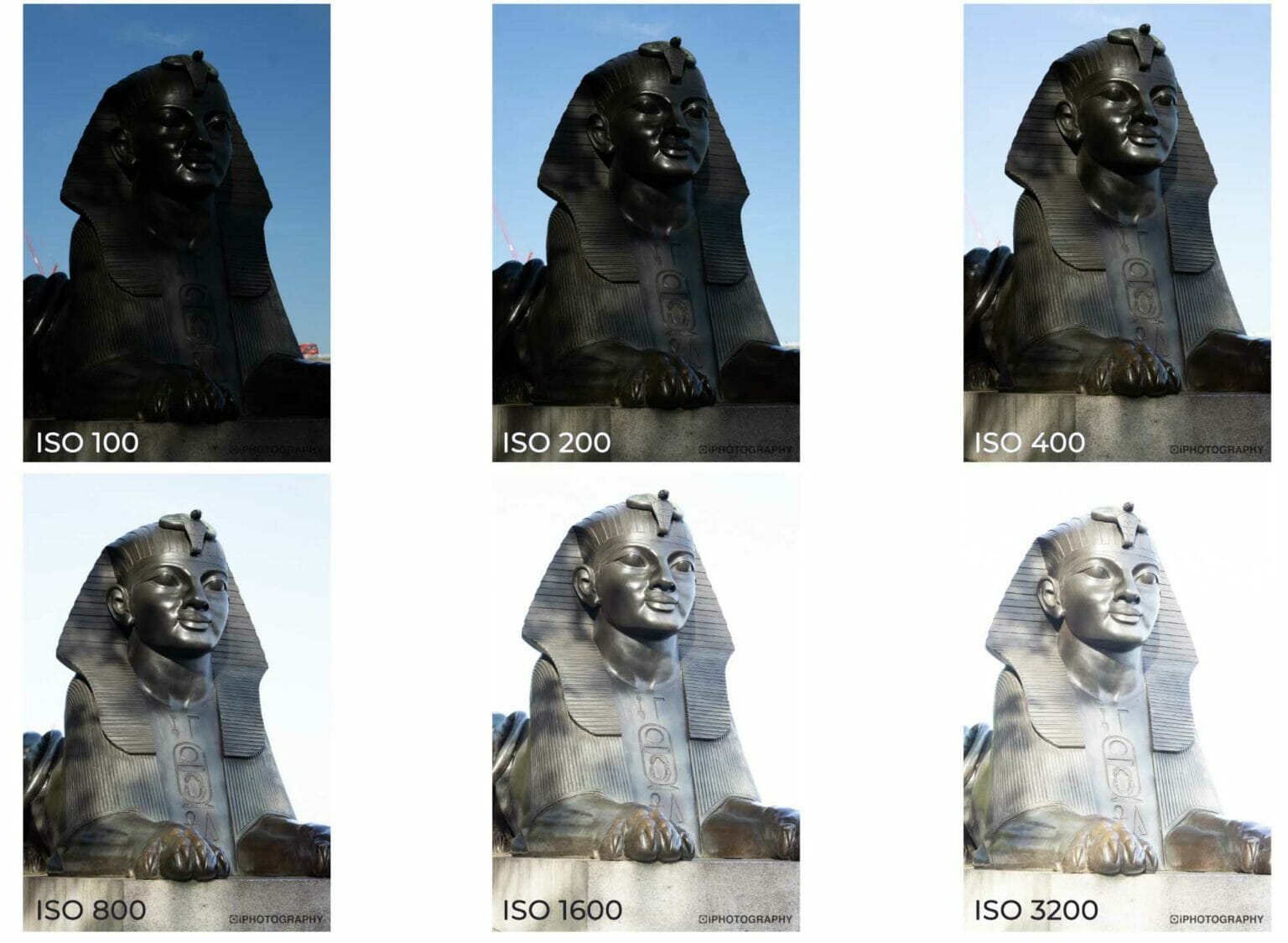 What is ISO for Photographers? The Meaning of ISO