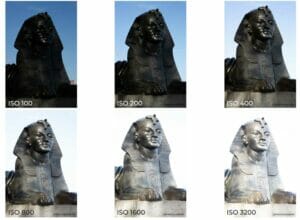 What Is ISO in Photography? A Plain-English Guide