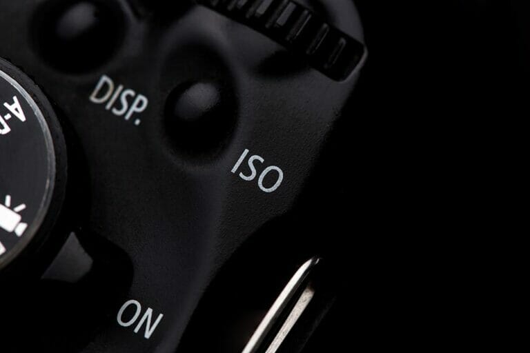 What is ISO for Photographers? The Meaning of ISO