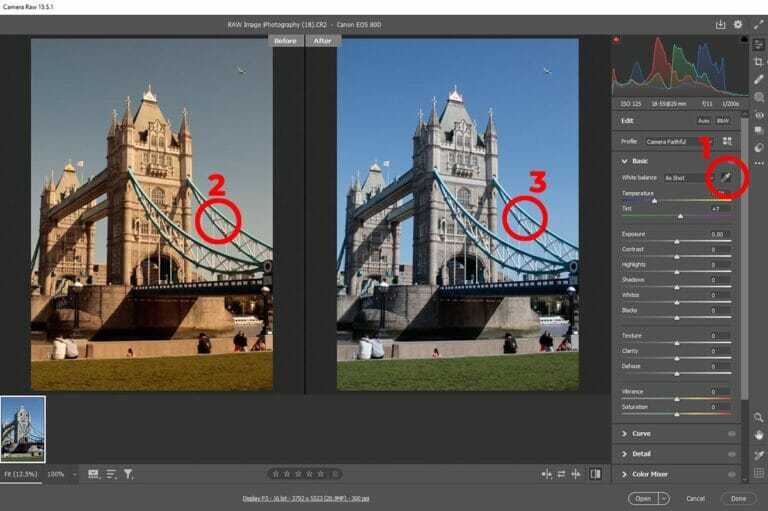 Mastering White Balance: Your Key to Vibrant Photo Colours