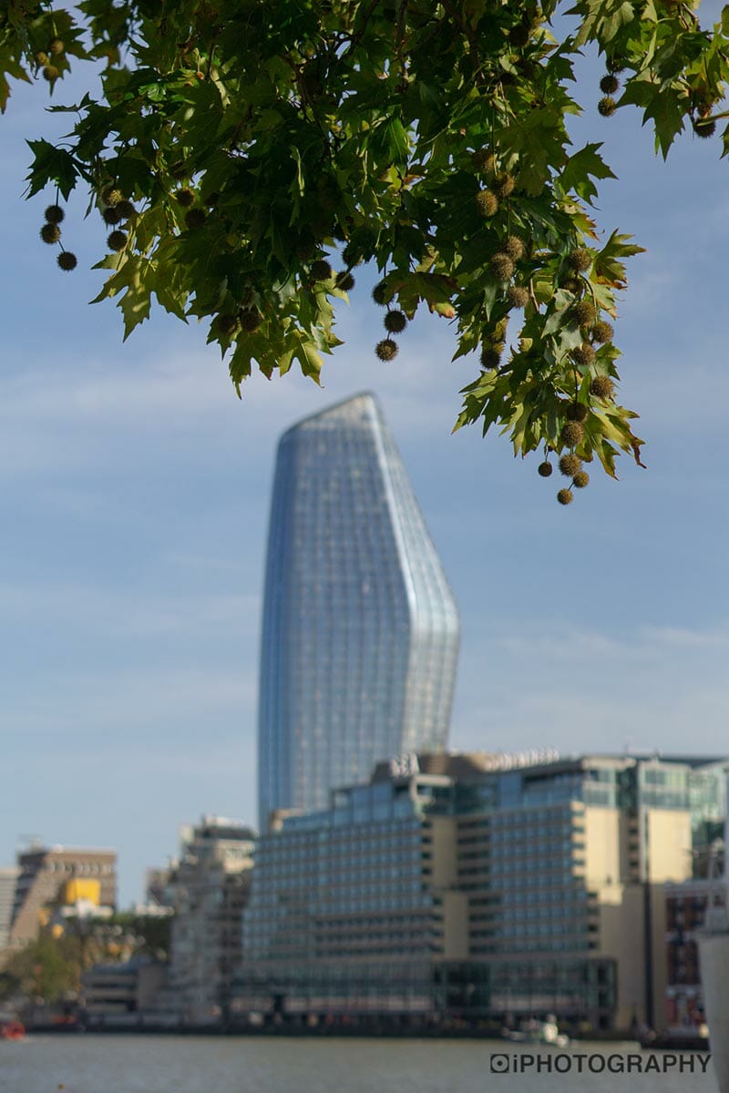 10 Essential Camera Settings Every Photographer Should Know